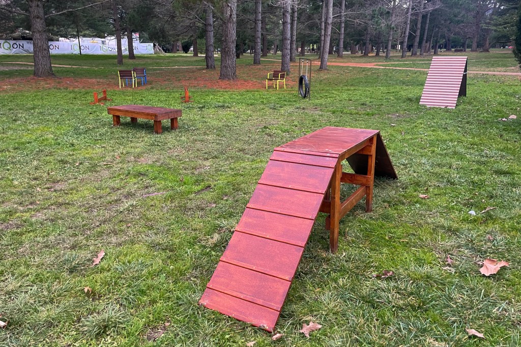 Haig Park Dog Agility Equipment – mcgrath weber works